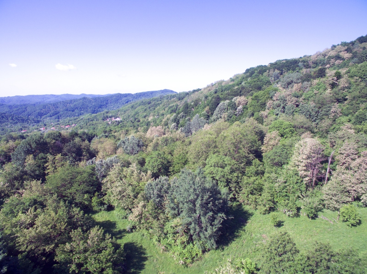 Teren Varfuri, Dambovita Pucioasa Terenul este la doar 2 ore - anuntul.ro