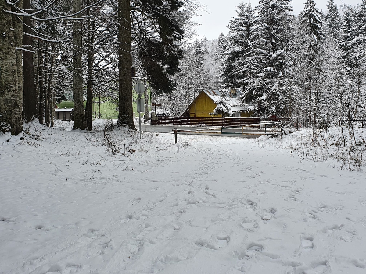 Casa Predeal Valea Rasnoavei Cabana predeal singulara - anuntul.ro