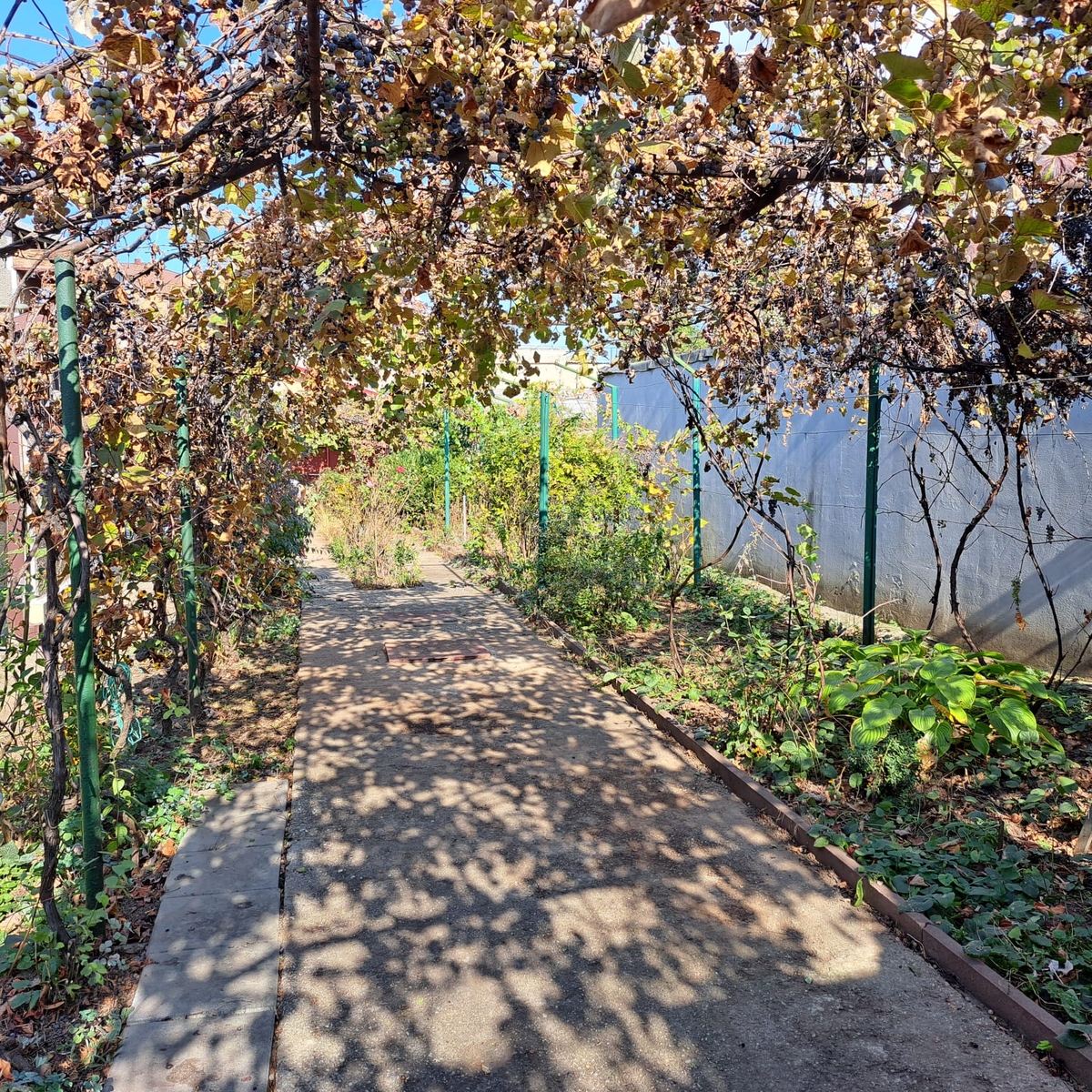 Casa Sector 5, Bucuresti, Casa de vanzare zona Pieptanari - - anuntul.ro