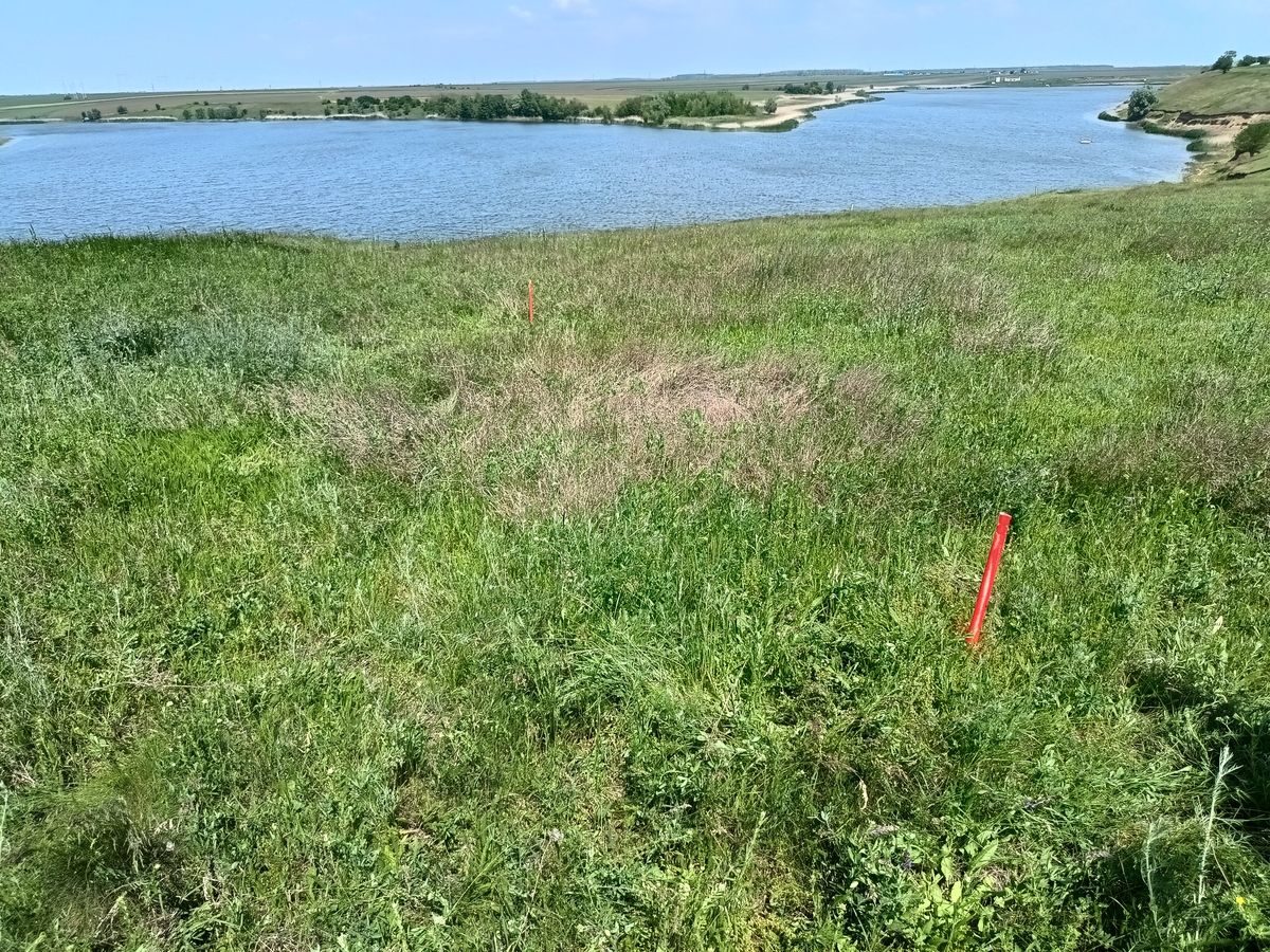 Teren Fundulea, super ocazie, vand (posibil avans + rate) 2 l - anuntul ...