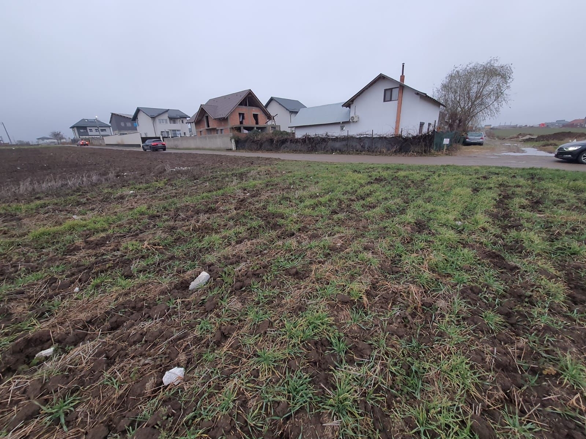 Teren Comuna Berceni, Loturi Strada Primaverii Se ofera spre - anuntul.ro