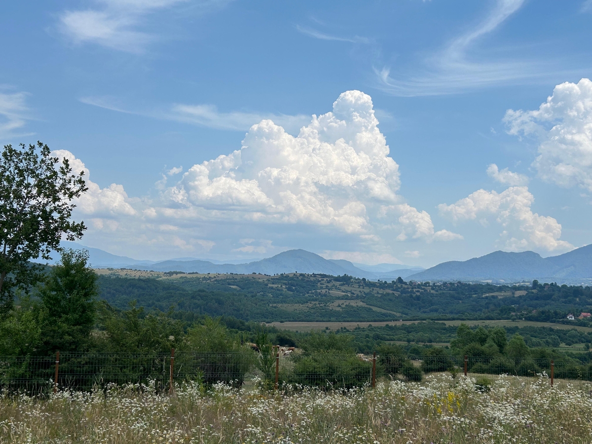 Teren Zarnesti - Tohanita Particular vand teren intravilan in - anuntul ...
