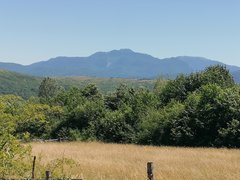 Teren Bran, Predelut, Tohanita, ideal investitie - anuntul.ro