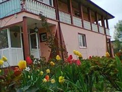 Casa Ordoreanu, vila 2008, p+1 - anuntul.ro