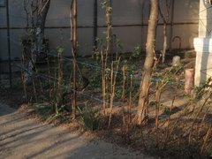Casa Sector 2, Andronache Vand casa constructie 1978 - anuntul.ro