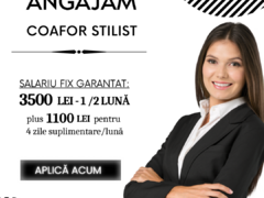 Angajare Receptionera pentru salon de infrumusetare Salariu gara ...