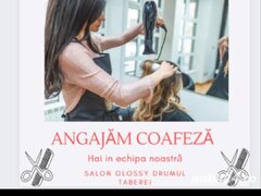 Angajare Coafeza Drumul Taberei Salariu + Procent - anuntul.ro