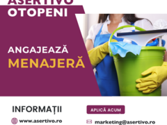 Angajare Menajera Candidatul ideal: experienta anterioara intr ...