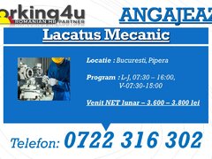 Angajare Lacatus Mecanic Pentru companie producatoare de cosmeti - anuntul.ro