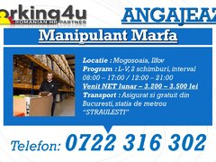 Angajare Manipulant marfa Angajam manipulanti marfa pentru distr ...