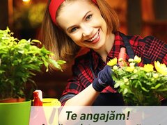 Angajare Vanzator in magazine de plante si flori - Floraria Tria ...