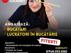 Angajare Bucatari si lucratori in bucatarie Pitesti suntem in ca ...