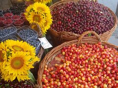 Angajare Vanzator/ vanzatoare pepeni - anuntul.ro