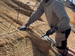 Angajare Mesteri acoperis stuf, ing - anuntul.ro