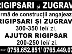 Angajare Rigipsari si zugravi. Firma de constructii angajeaza ri ...