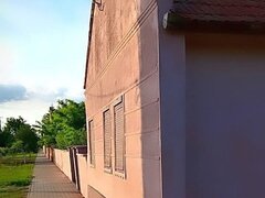 Casa Arad, Felnac, casa spatioasa+teren generos - anuntul.ro