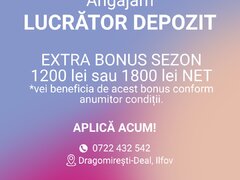Angajare Lucrator depozit (Dragomiresti-Deal - anuntul.ro