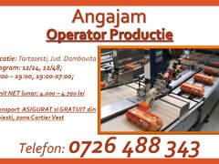 Angajare Operator productie. Pentru clientul nostru - anuntul.ro