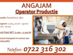 Angajare Operator productie Pentru clientul nostru - anuntul.ro